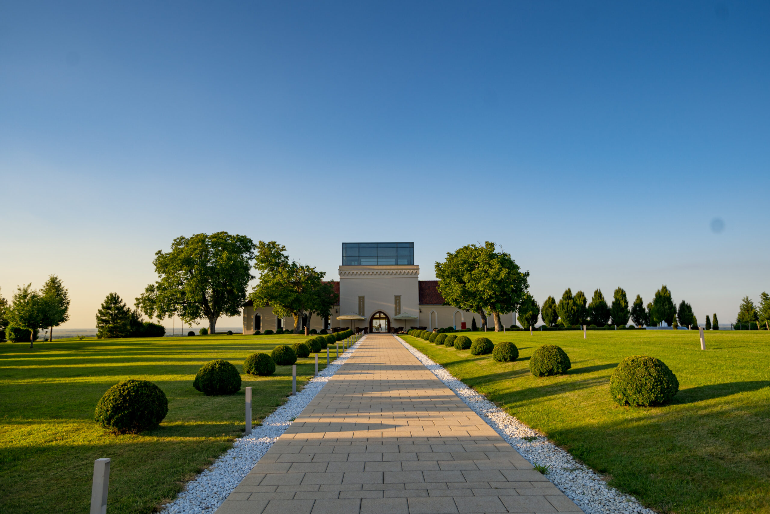 Homepage – Iločki podrumi