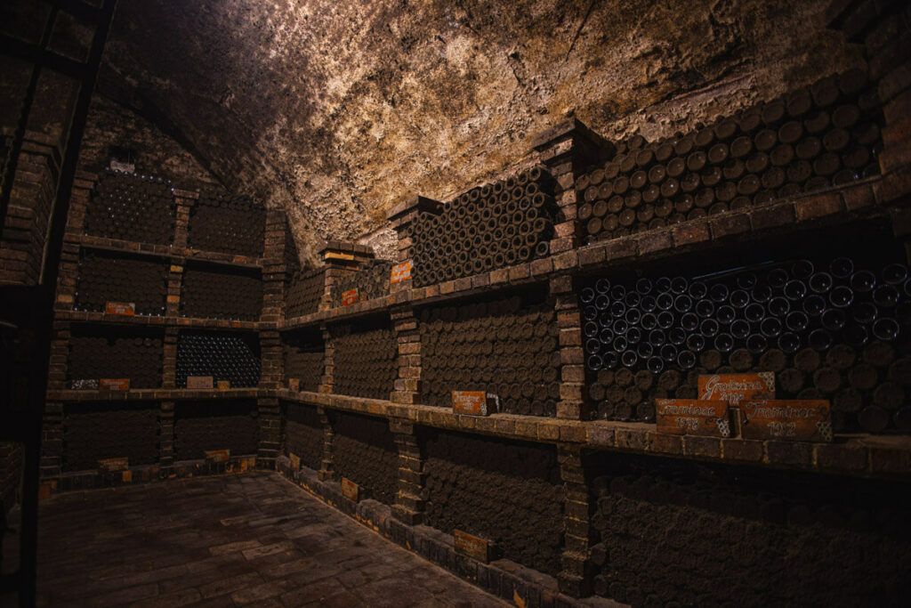 Stari podrum – Iločki podrumi