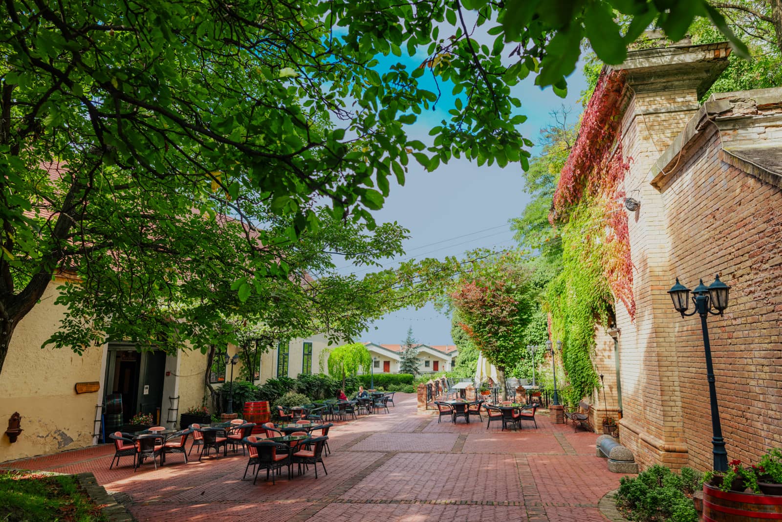 Stari podrum – Iločki podrumi